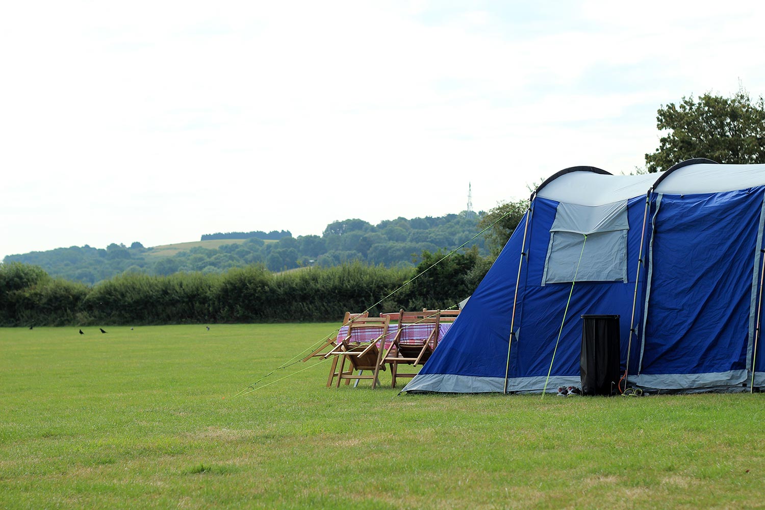 About Us – West End Farm